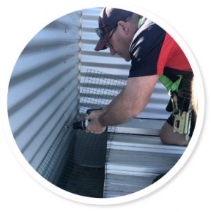 Bird netting Bunnings – the pitfalls of DIY bird proofing - call pros